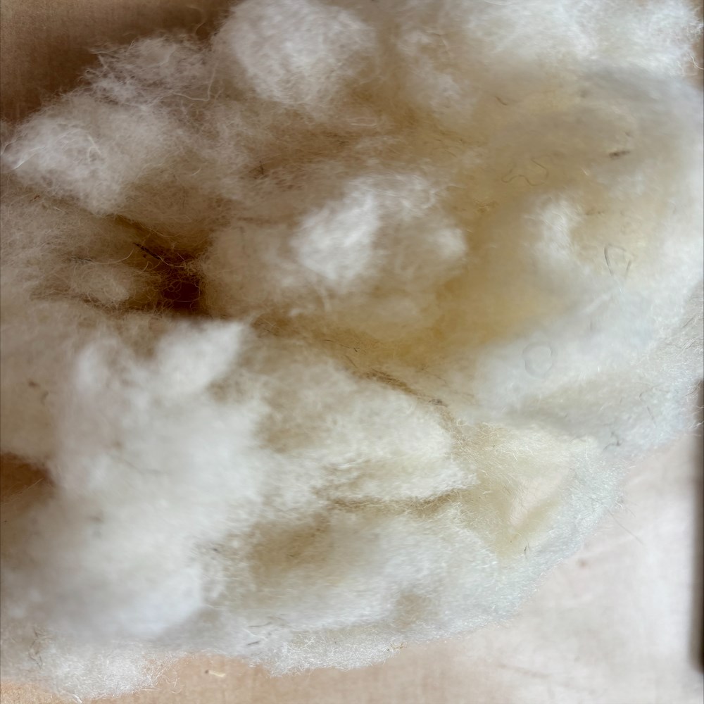 Eco Lush Wool, carded wool filling