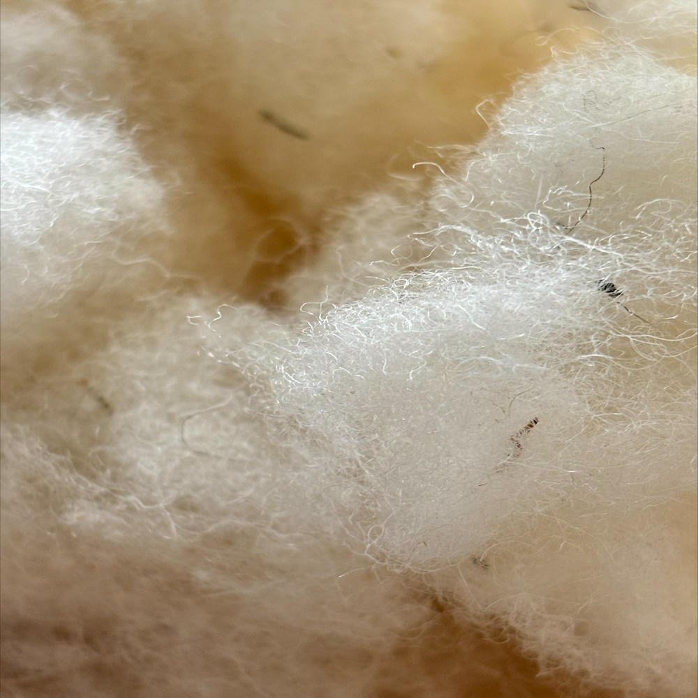 Eco Lush Wool, carded wool filling